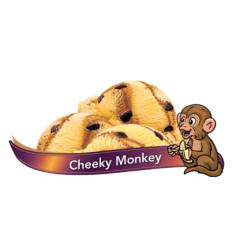 Cheeky Monkey Ice Cream - Chapman's Ice Cream
